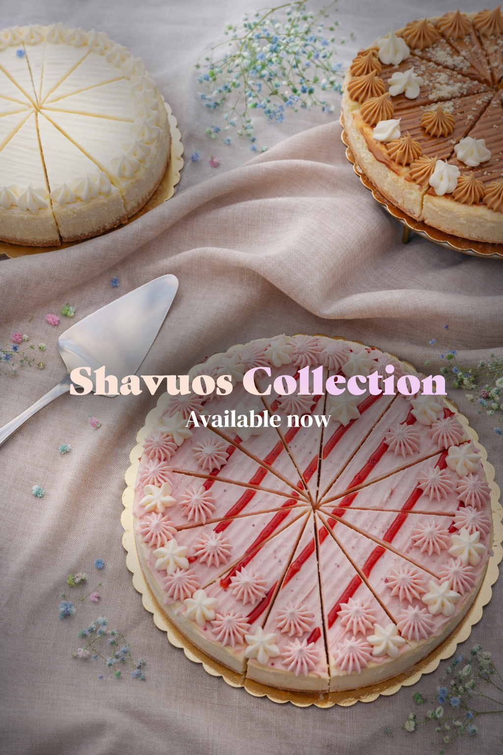 /collections/shavuos-collection